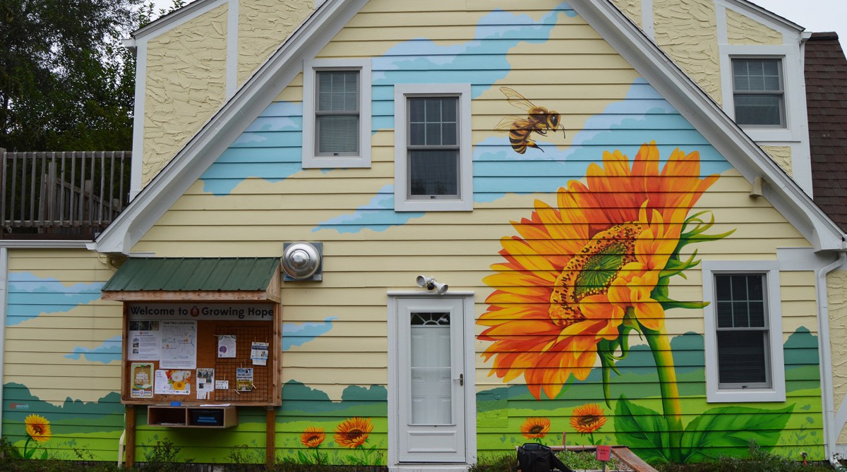 Growing Hope Murals – Danijel Matanic